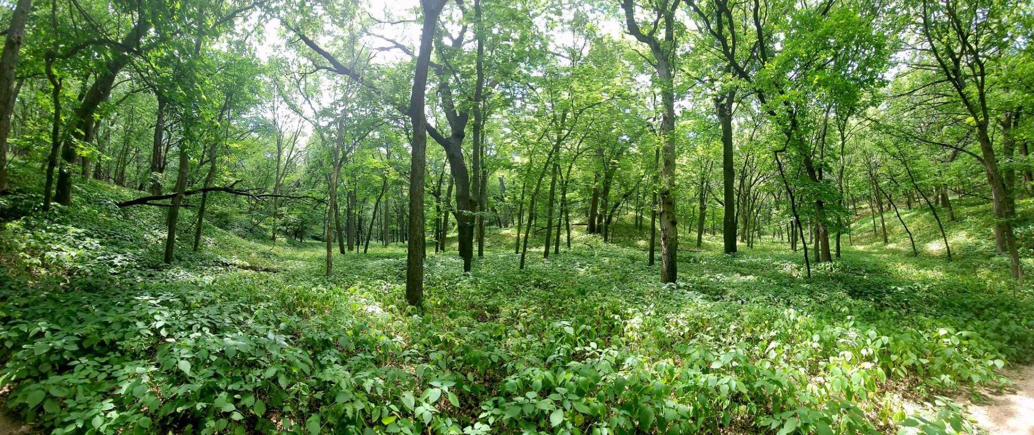 Places To Eat | ExploreSiouxLand.com